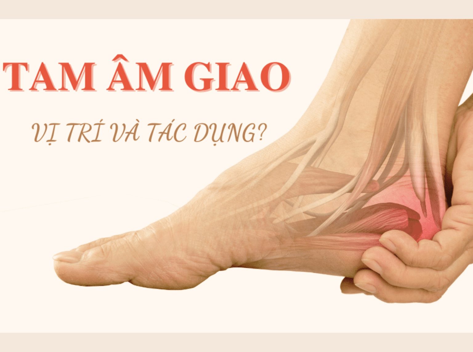 Foot Reflexology for Blood Circulation: 4 Important Acupuncture Points ...